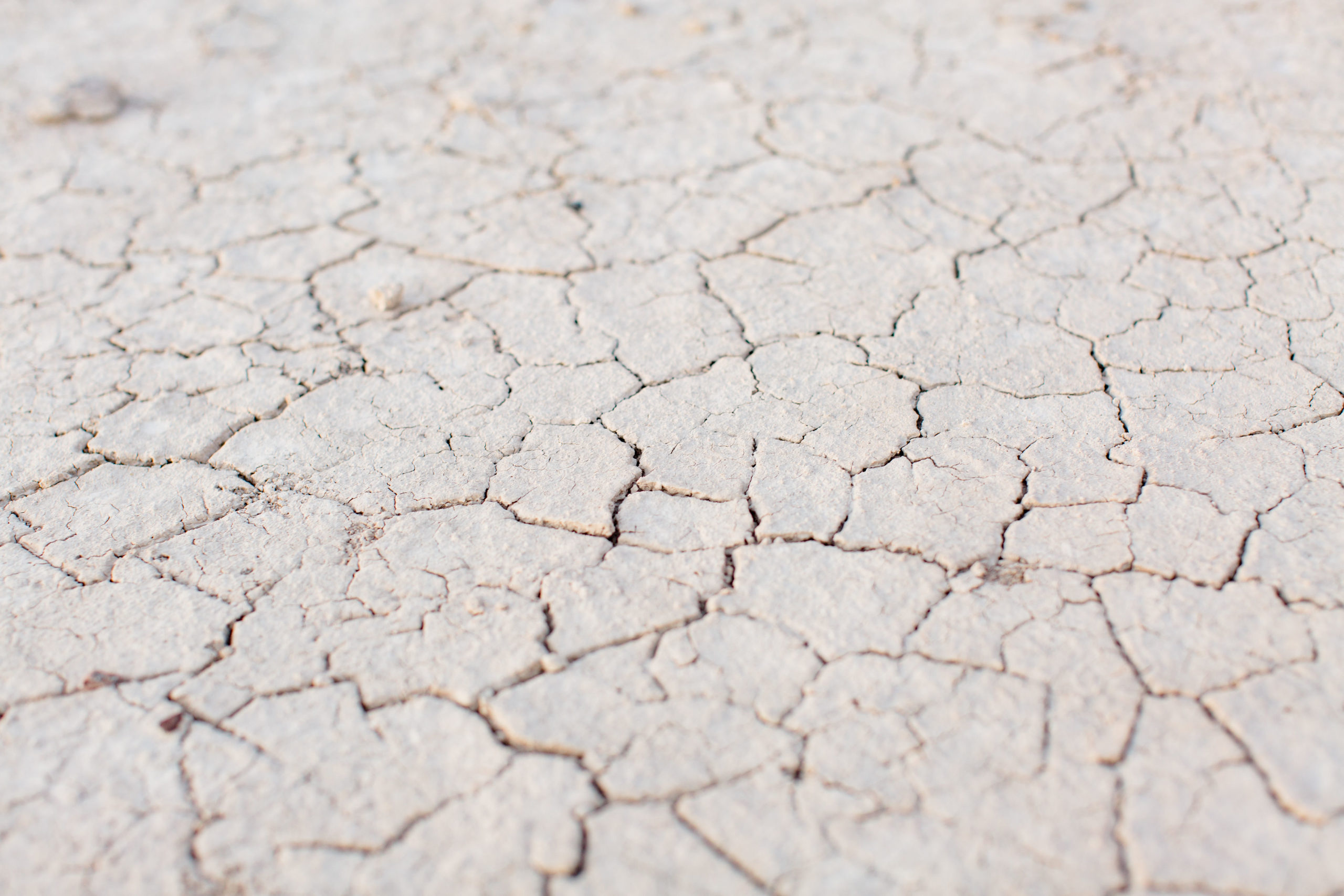 Spaltung: Psychodynamische Bedeutung und mögliche Folgen